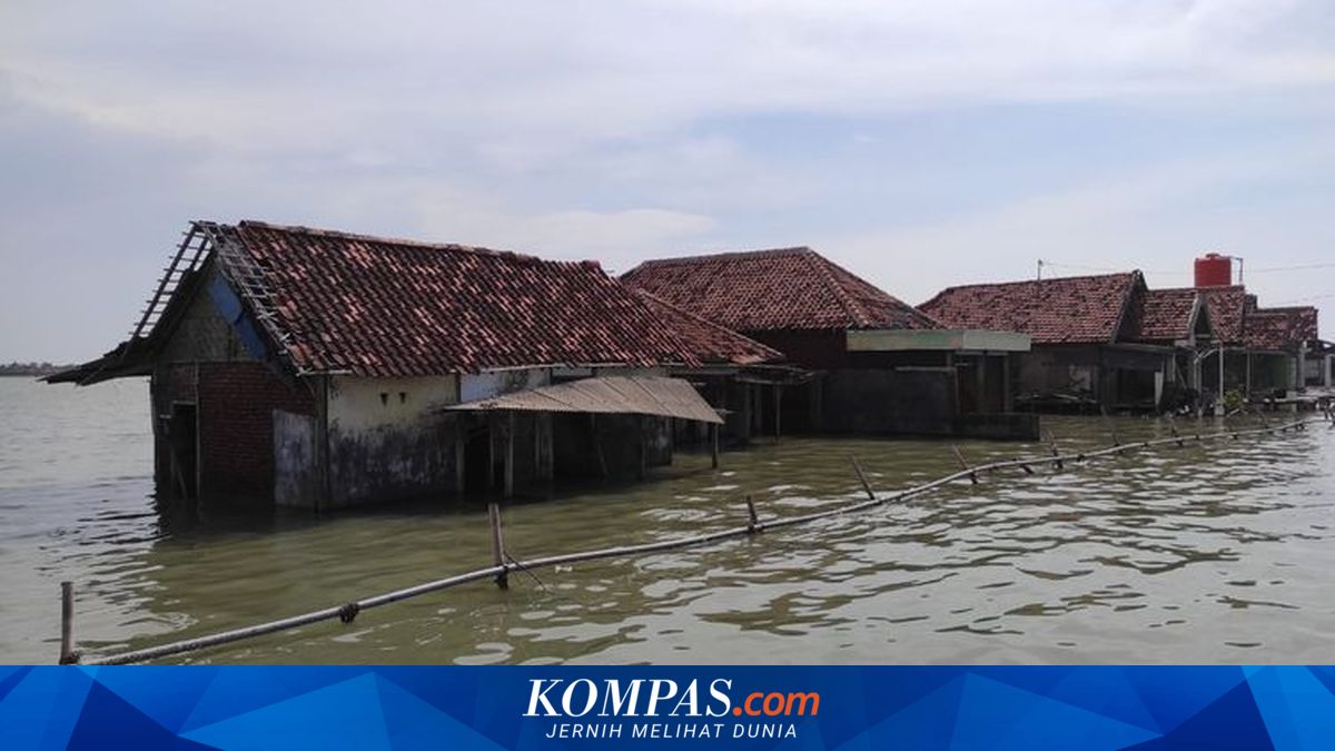 Penurunan Tanah di Demak Capai 11 Sentimeter Per Tahun, Legislatif ...