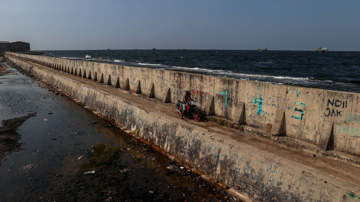 Pemerintah Tegaskan Bangun Tanggul Laut 700 Km, dari Banten sampai Jawa ...