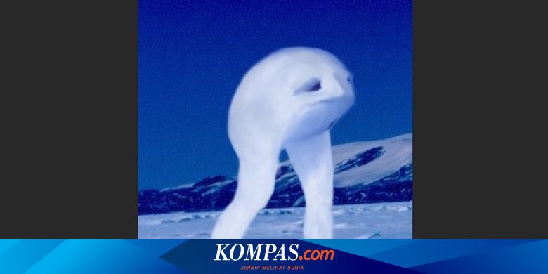 Mystery Ningen, it is said that an Antarctic animal 30 meters tall is ...