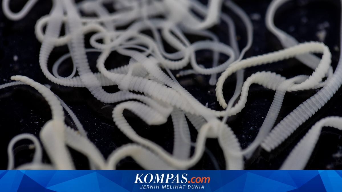 Jenis Cacing Paling Berbahaya di Dunia yang Bisa Menginfeksi Manusia