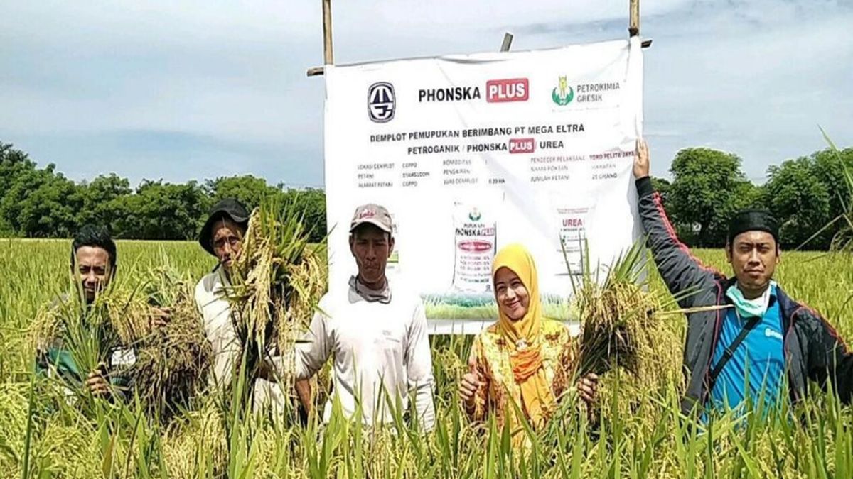 Sukseskan Program Agrosolution, PT Mega Eltra Perkuat Bisnisnya di ...