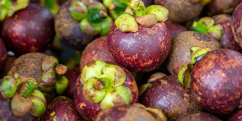 Penyakit Getah Kuning Buah Manggis: Penyebab dan Cara Mengendalikannya