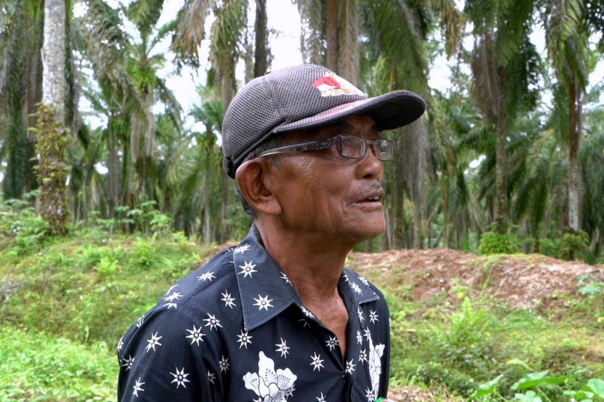 Cerita Kek Sapar, Penggarap Pertama di Lahan PTPN 4 yang Memilih Terima ...