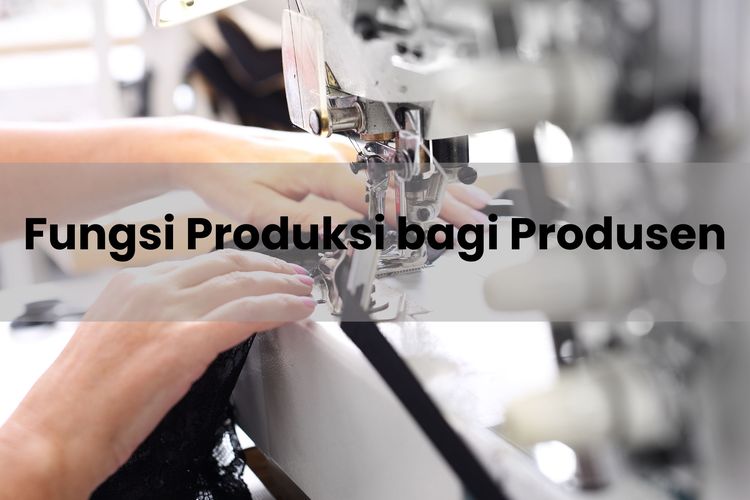 Fungsi Produksi bagi Produsen