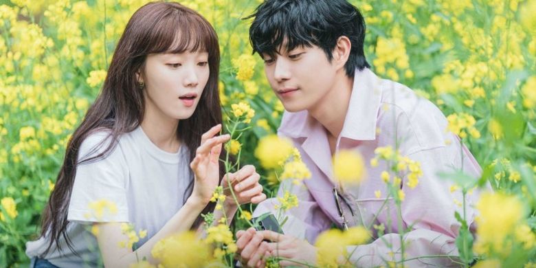Sinopsis dan Pemain Shooting Stars, Drakor Hits tentang Agensi ...