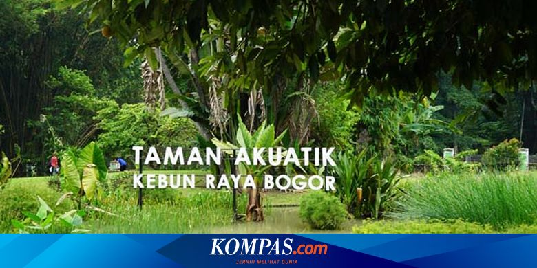 Prakiraan Cuaca Bogor Hari Ini Selasa 19 Maret 2024, dan Besok : Tengah ...
