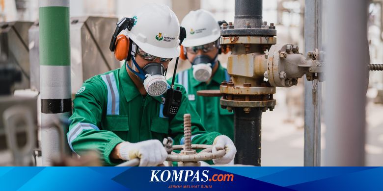 Petrokimia Gresik Buka Lowongan Magang Bersertifikat, Ini Cara Daftar