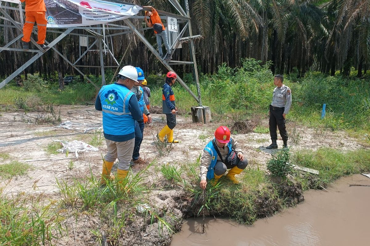 Lahan "Dijarah" Penambang, Belasan Tower SUTT PLN di Babel Kritis