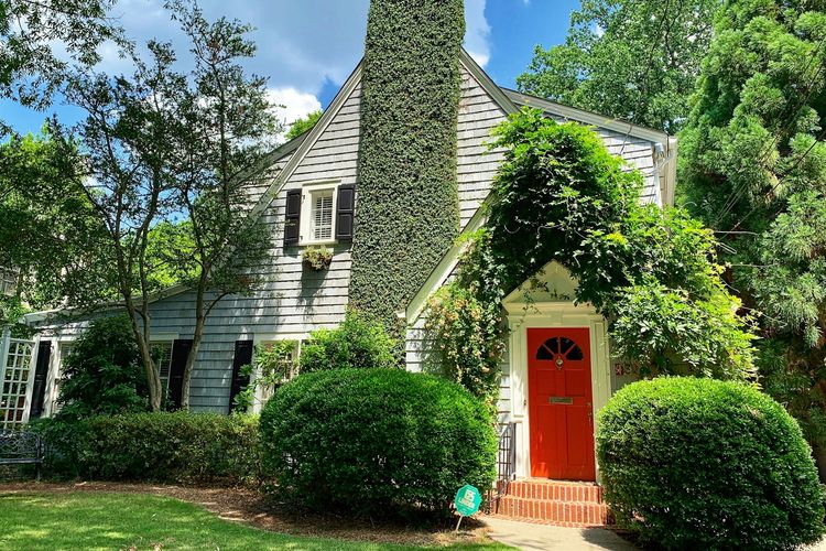 Foto : 4 Pohon Buah yang Cocok Ditanam di Halaman Depan Rumah