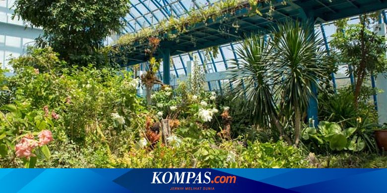 6 Tips Pergi ke Kebun Raya atau Taman, Jangan Asal Petik Bunga