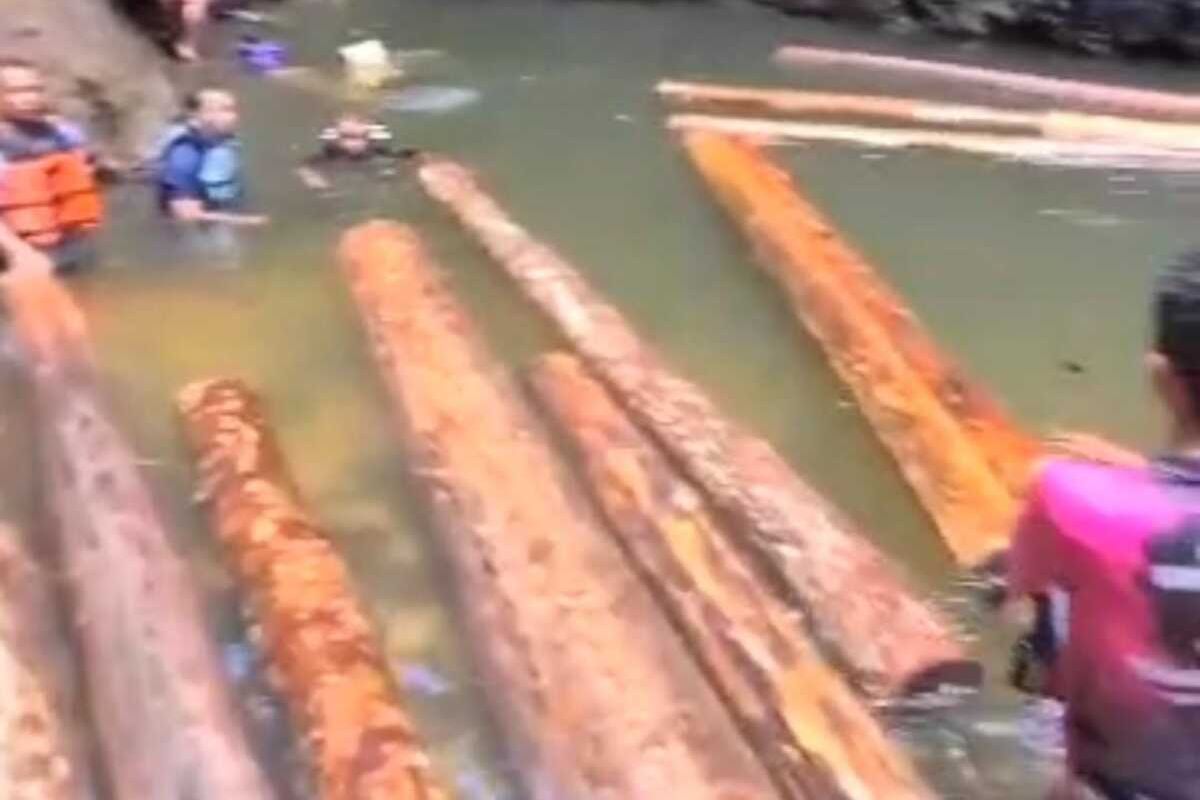 Tempat Wisata Sungai Gulamo di Kampar Riau Dipenuhi Tumpukan Kayu Ilegal