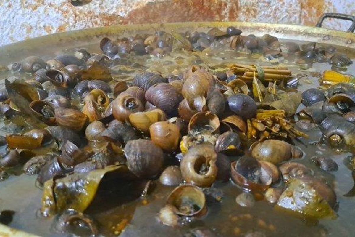 Kraca, Kuliner Keong Khas Banyumas yang Paling Dicari Saat Ramadhan