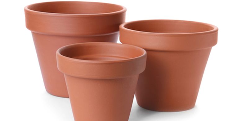 Tips Memilih Pot untuk Menanam Sayuran