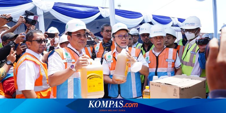 Minyakita Langka di Pasaran, Mendag Salahkan Warga dan Implementasi B35