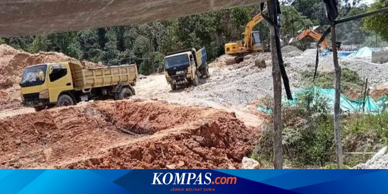 Berita Harian Hutan-tanaman-energi Terbaru Hari Ini - Kompas.com
