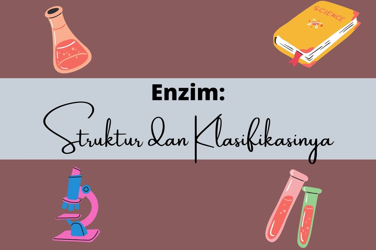 Struktur Enzim dan Klasifikasinya
