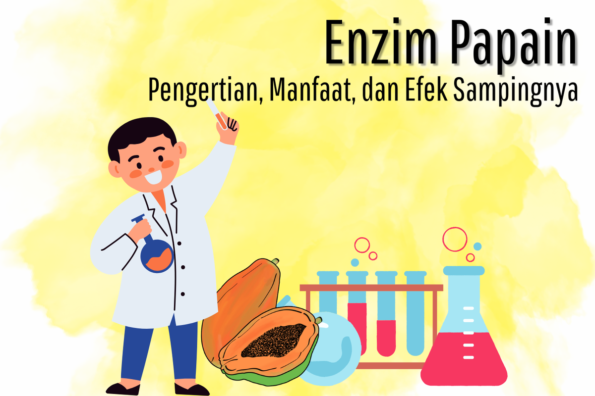 Enzim Papain: Pengertian, Manfaat, dan Efek Sampingnya