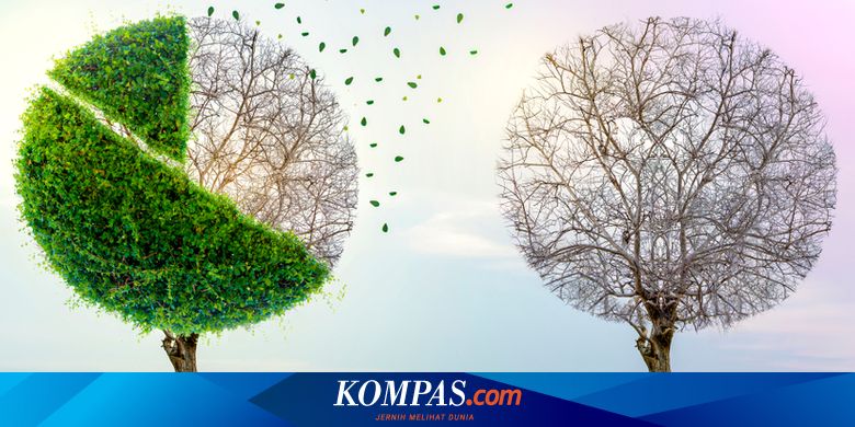 "Green Inflation" dan Ketahanan Energi Indonesia