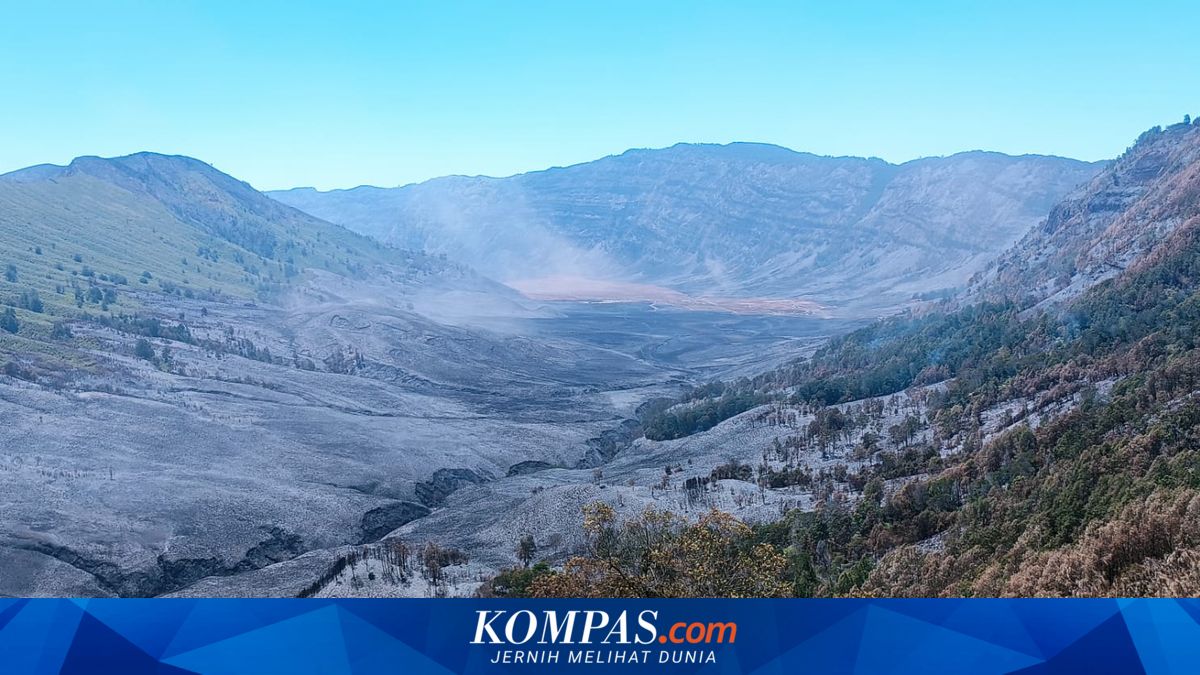 Kawasan Bromo Disebut Terbakar 540 Hektare, Ini Kata TNBTS
