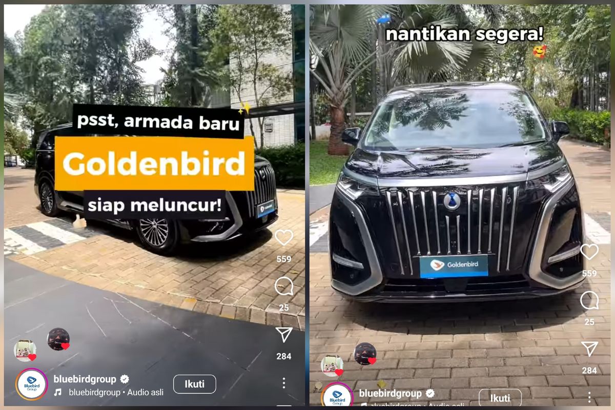 Mengenal Goldenbird, Rental Mobil Bluebird yang Pakai Denza D9