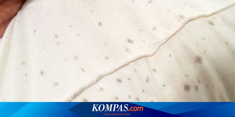 Cara Menghilangkan Jamur Hitam pada Pakaian