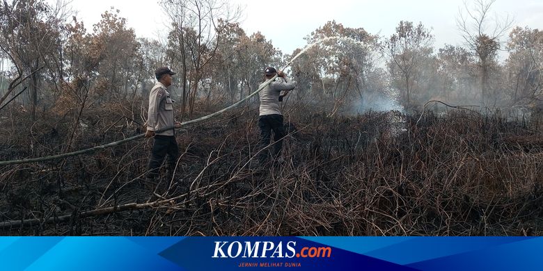 Asap Tebal Masih Selimuti Karhutla Tapung Kampar meski Api Mulai Padam