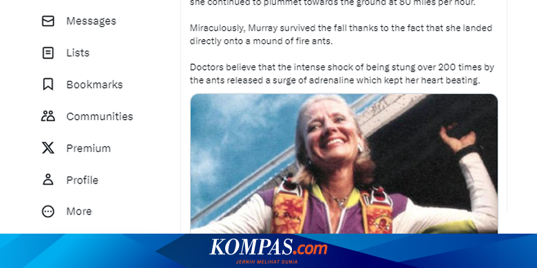 Kisah Penerjun Payung Joan Murray, Jatuh dari Ketinggian 4.400 Meter, Selamat berkat Gerombolan ...