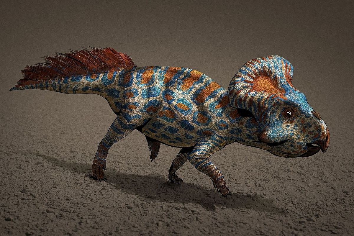 Dinosaurus Ini Menarik Pasangan Seksualnya dengan Cara Unik Halaman all ...