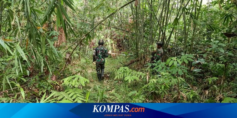 Menyusuri “Jalan Tikus” Perbatasan Indonesia-Malaysia: Jalur Sutra ...