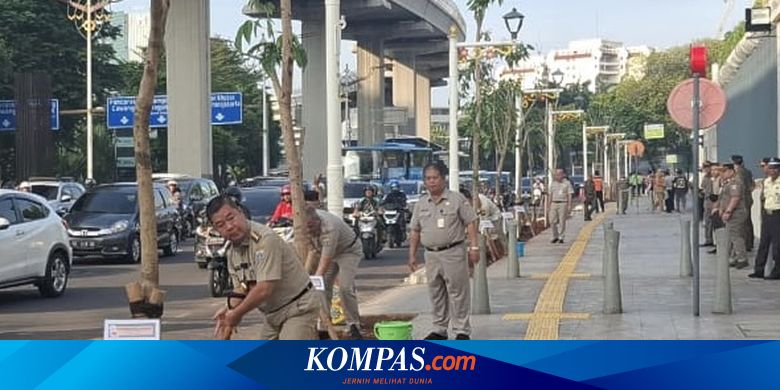 Perbaiki Kualitas Udara, 137 Pohon Tabebuya Ditanam di Jalan Rasuna Said