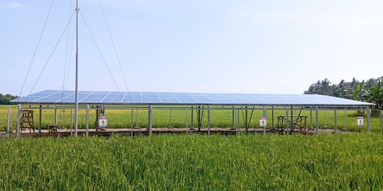 Berita Harian Transformasi Energi Terbaru Hari Ini - Kompas.com