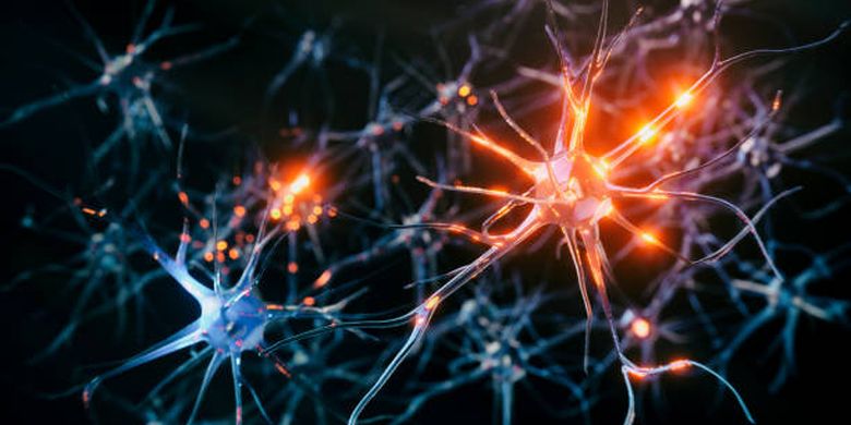 6 Mitos tentang Otak Manusia, Apa Saja?