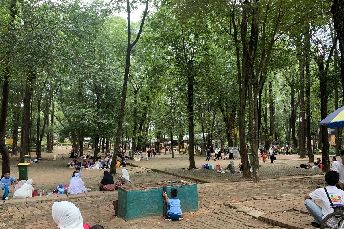 Ternyata Segini Kebun Binatang Ragunan