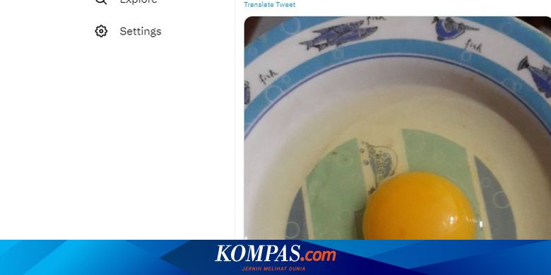 Satu Butir Telur dengan Dua Kuning, Apakah Bisa Menetas Jadi Ayam Kembar?
