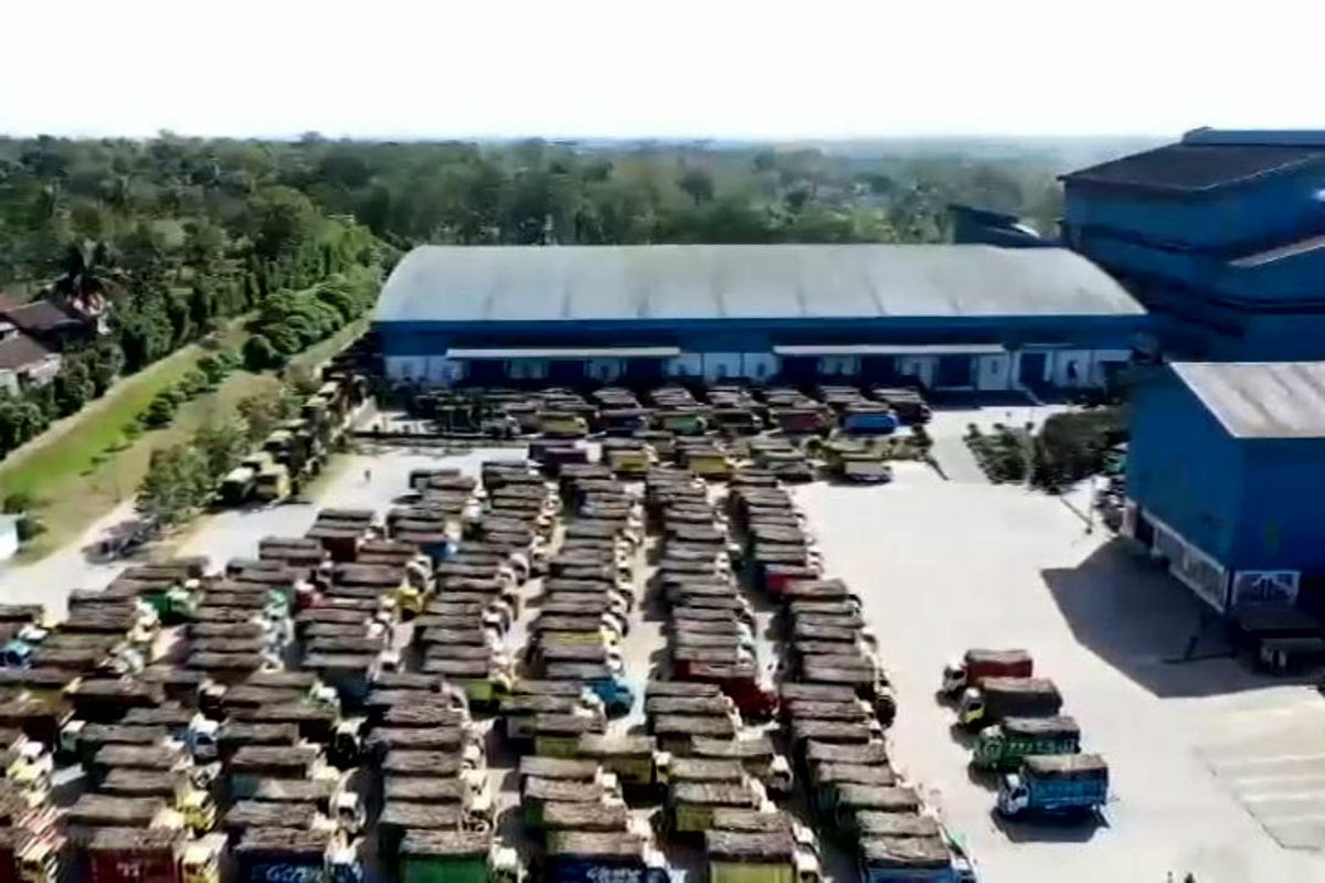 Petani Blitar Merugi, Harga Tebu Anjlok Sejak Panen Raya 2025