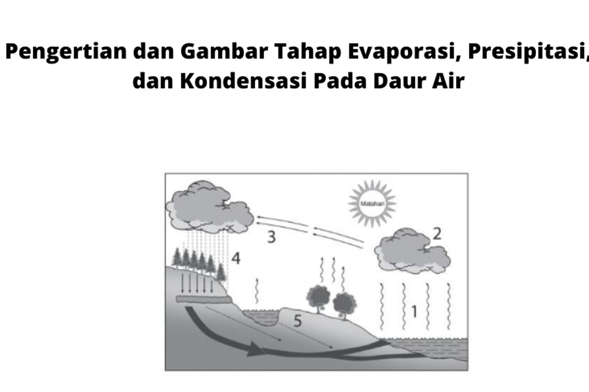 Pengertian dan Gambar Tahap Evaporasi, Presipitasi, dan Kondensasi Pada ...