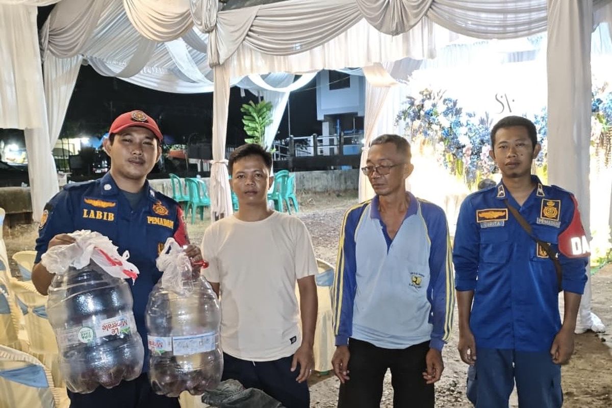 2 Ular Kobra Muncul Bikin Panik Warga Saat Masak Jelang Pesta ...