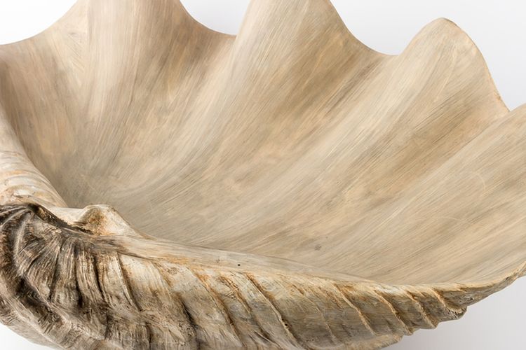 5 Ide Mendekorasi Rumah dengan Cangkang Kerang, Serasa di Pantai