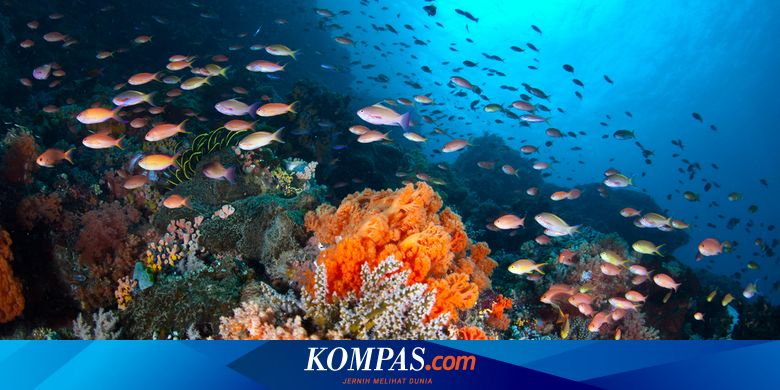 Pengertian Hidrosfer dan Siklus Air - TrendRadars Indonesia