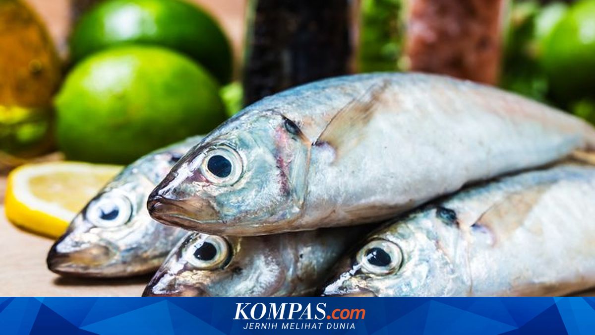 Telan Empedu Ikan Mentah untuk Redakan Sakit Kepala, Wanita Ini ...