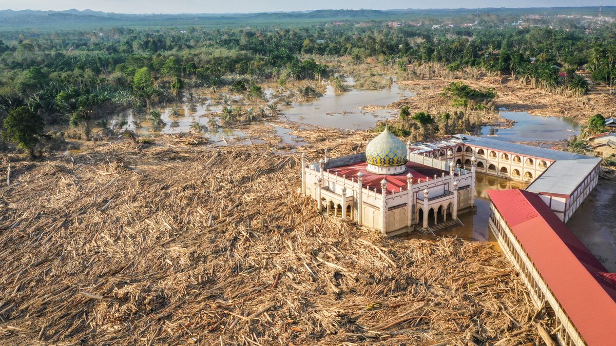 BERITA FOTO: Banjir Bandang Sisakan Tumpukan Kayu yang Kepung Desa-desa ...