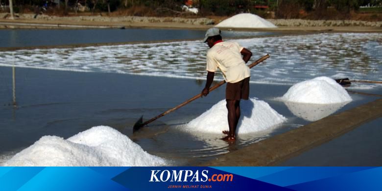 Soal Garam, Indonesia Bisa Belajar dari India