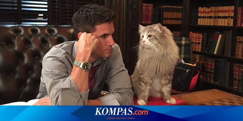 Pencinta Kucing Wajib Nonton 5 Film Seru Berikut