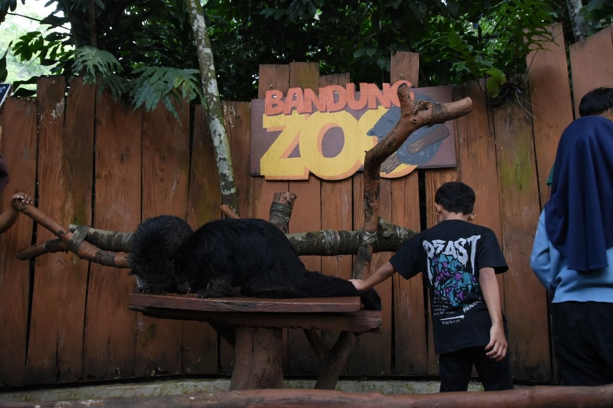 Belum Ada Pengelola Baru, BBKSDA Siapkan Translokasi Satwa Bandung Zoo