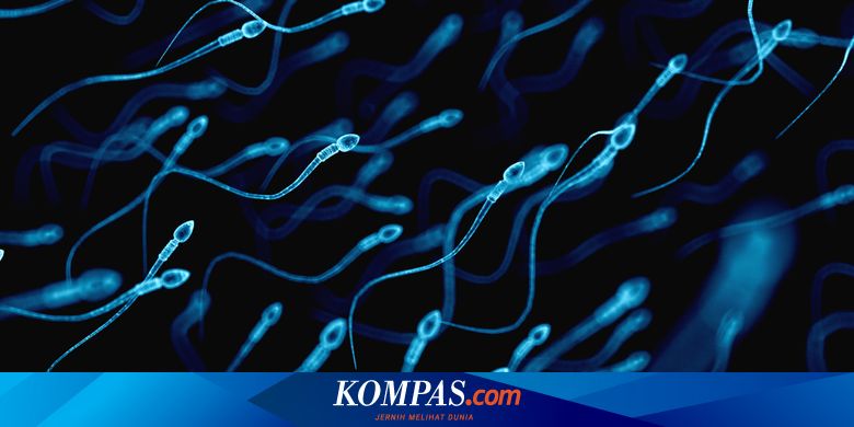Infeksi Covid-19 Ganggu Kualitas Sperma dan Kesuburan, Benarkah?