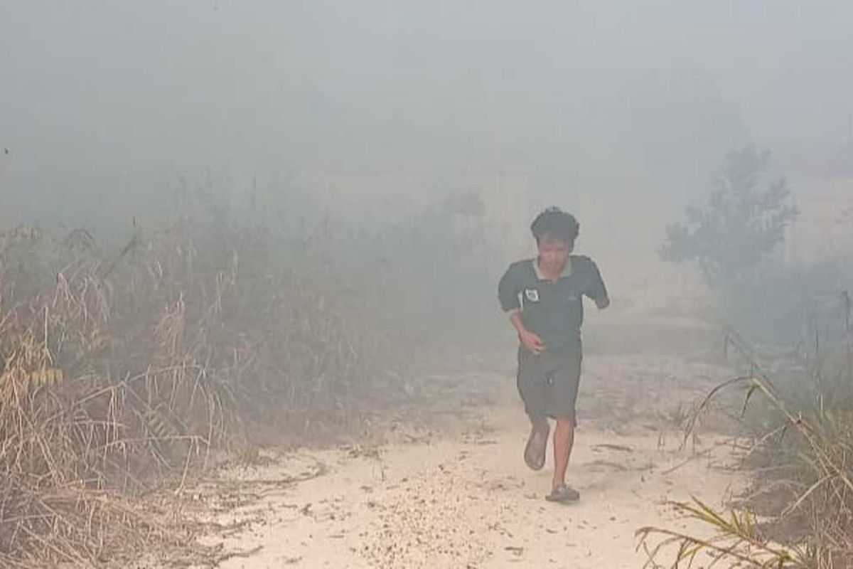Kebakaran Hutan Kampar Riau Terus Meluas, Asap Semakin Pekat