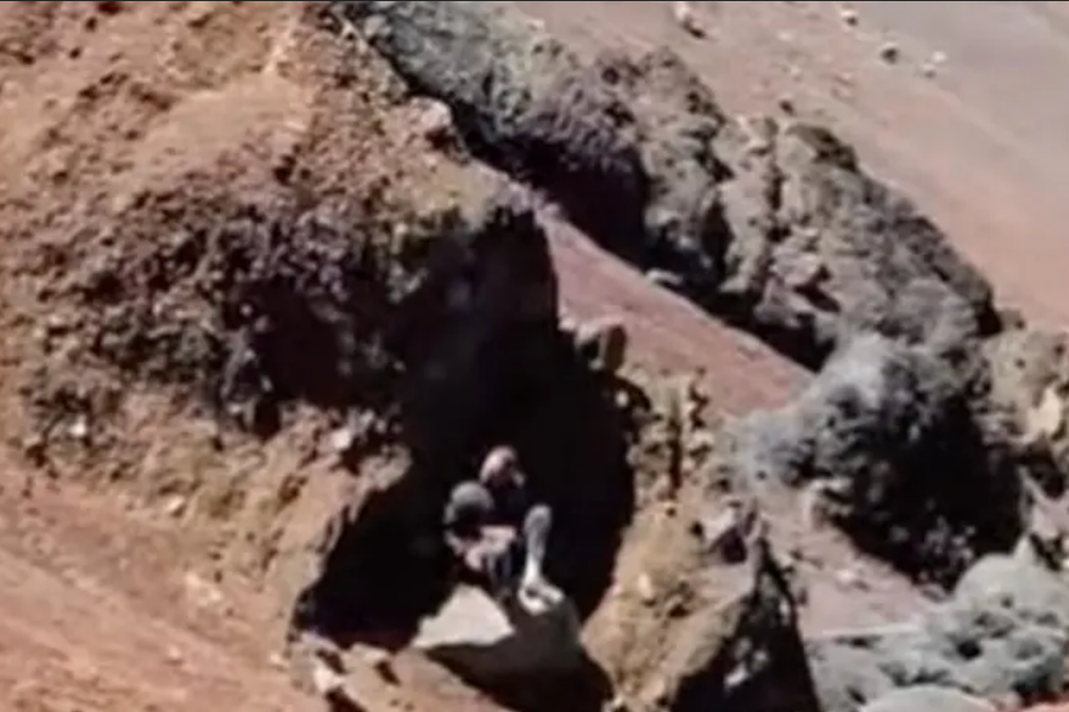 Kisah Paul Farrell, Hampir Tewas Setelah Terjatuh di Gunung Rinjani