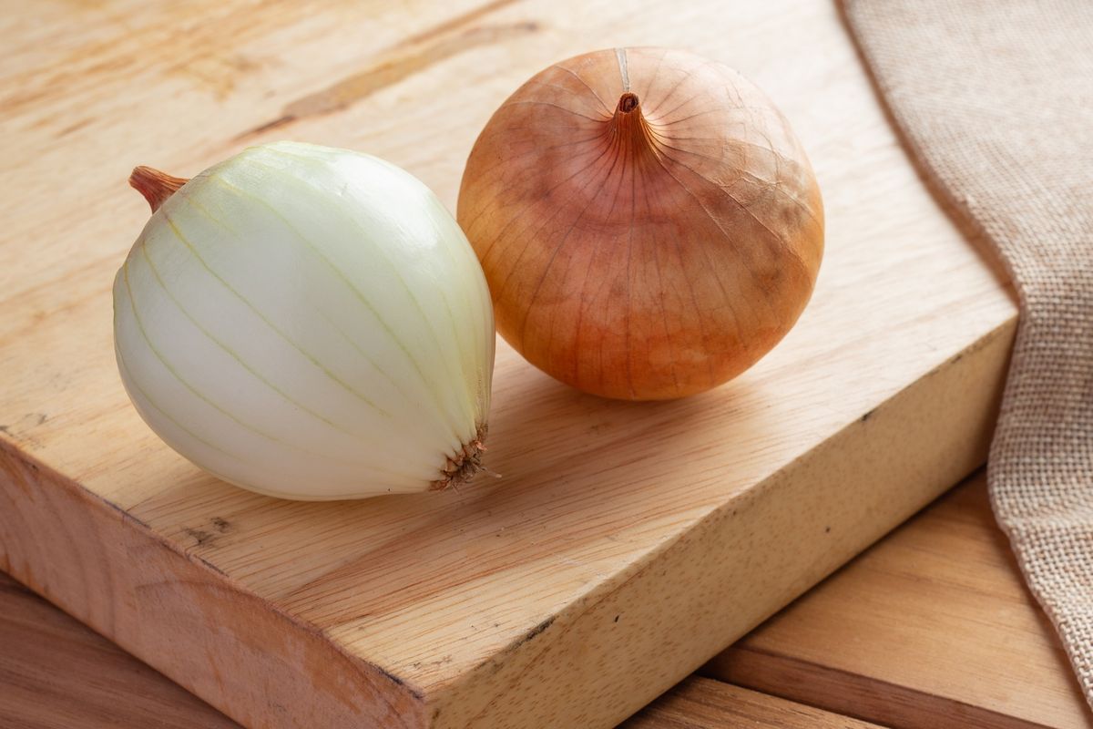 Cara Menanam Kembali Bawang Bombai dari Sisa hingga Panen Lagi