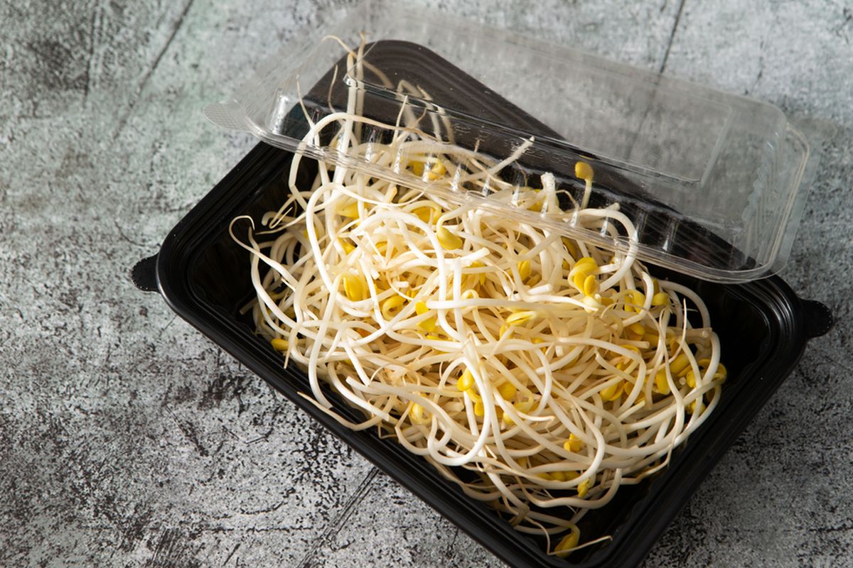 5 Cara Simpan Taoge agar Tetap Segar, Tahan sampai 1 Minggu