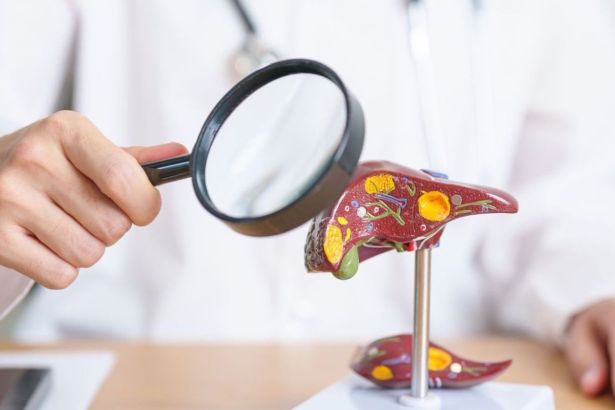 Apa Itu Abses Hati? Ini Penyebab, Gejala, dan Jenisnya